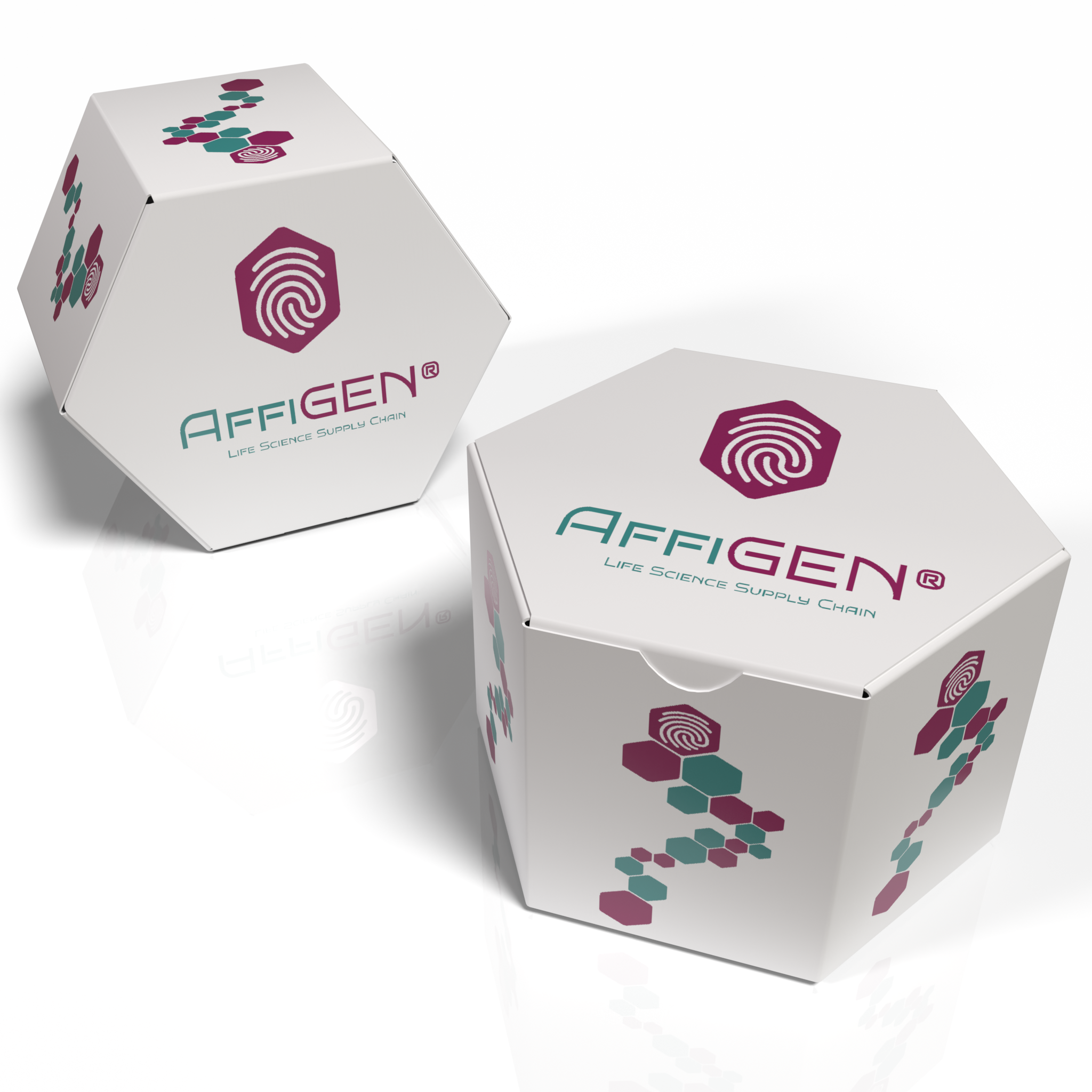 AffiELISA® RIG-I dsRNA ELISA Kit – AffiGEN