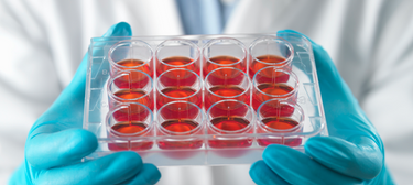 CRISPR and Gene Editing Technologies – AffiGEN