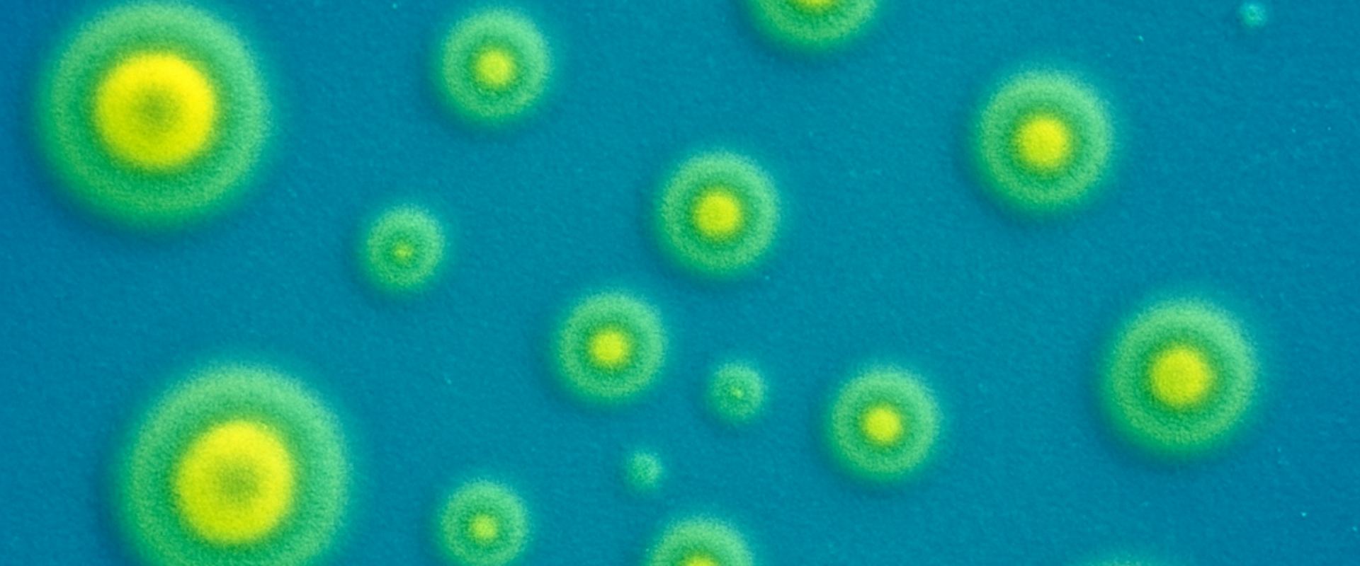 Taking Control of Mycoplasma: A Complete 3-Step Lab Solution – AffiGEN