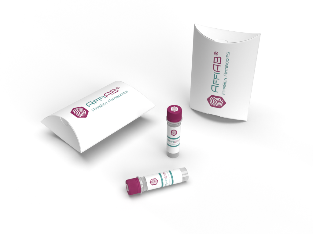 AffiAB® - Highly Specific and Sensitive Antibodies from AffiGEN