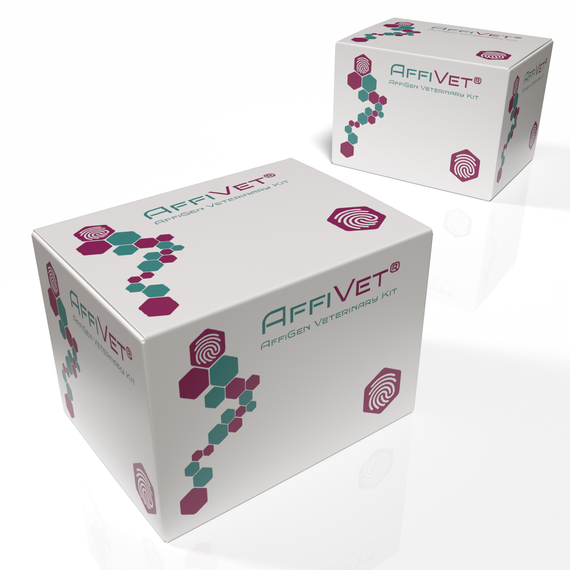 AffiVET® Avian Influenza Virus AIV H5 Antigen Rapid Tests | AffiGEN