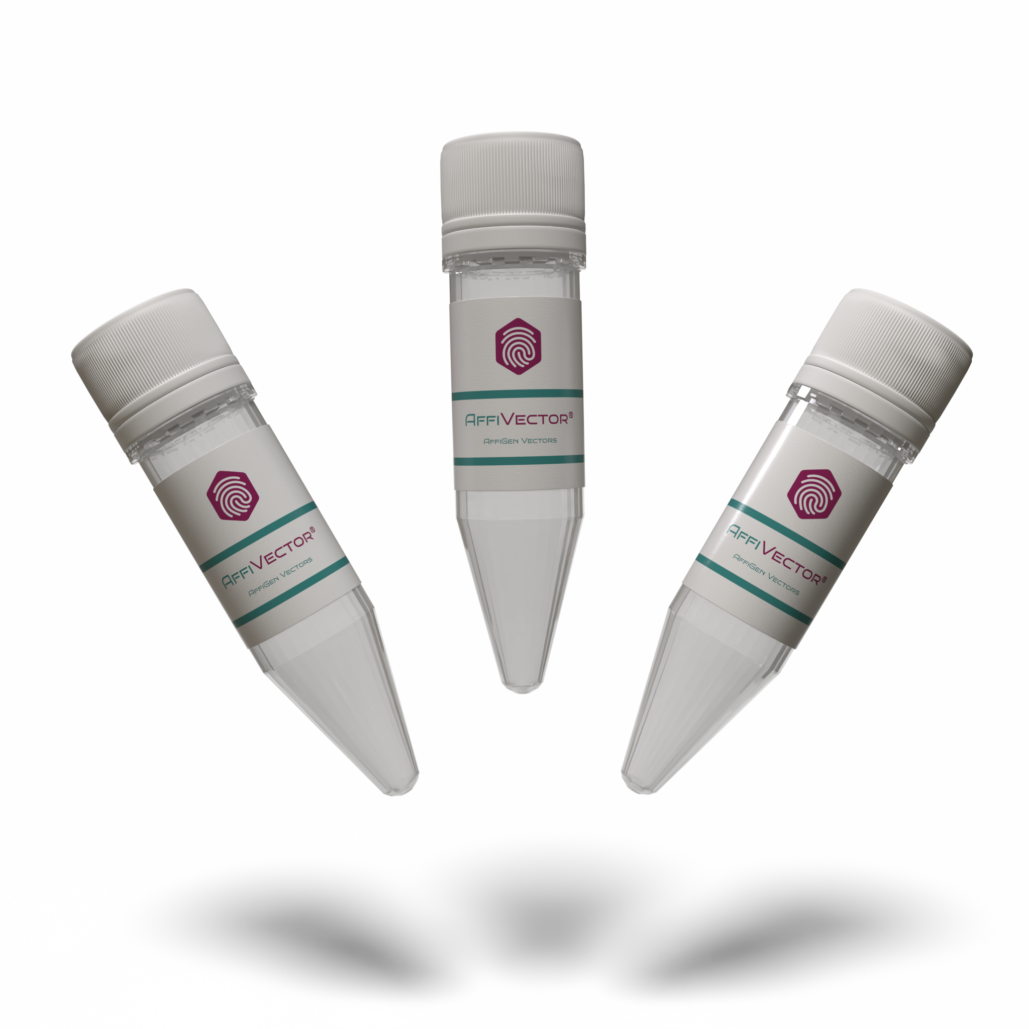 AffiVECTOR® pMXs-IRES-GFP Retroviral Vector | AffiGEN Inc.