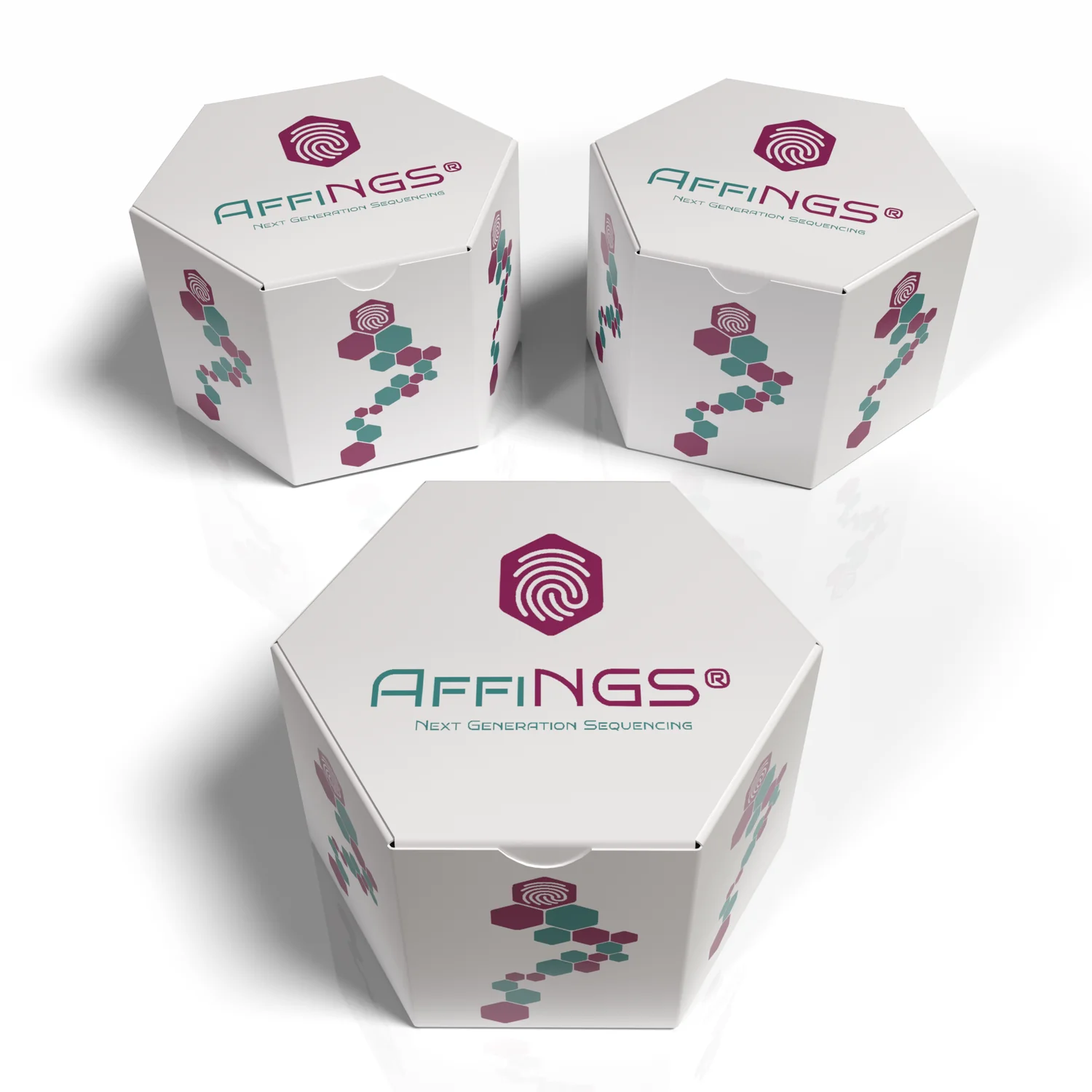 AffiNGS® Dual UMI UDB Adapter Kit, Set2 | AffiGEN