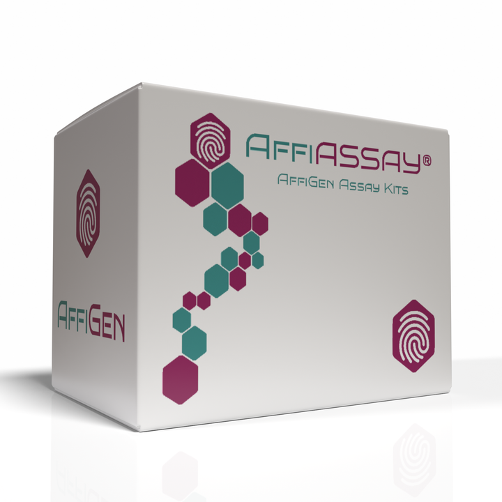 AffiASSAY® Crystal Violet Cell Cytotoxicity Colorimetric Assay Kit | AffiGEN